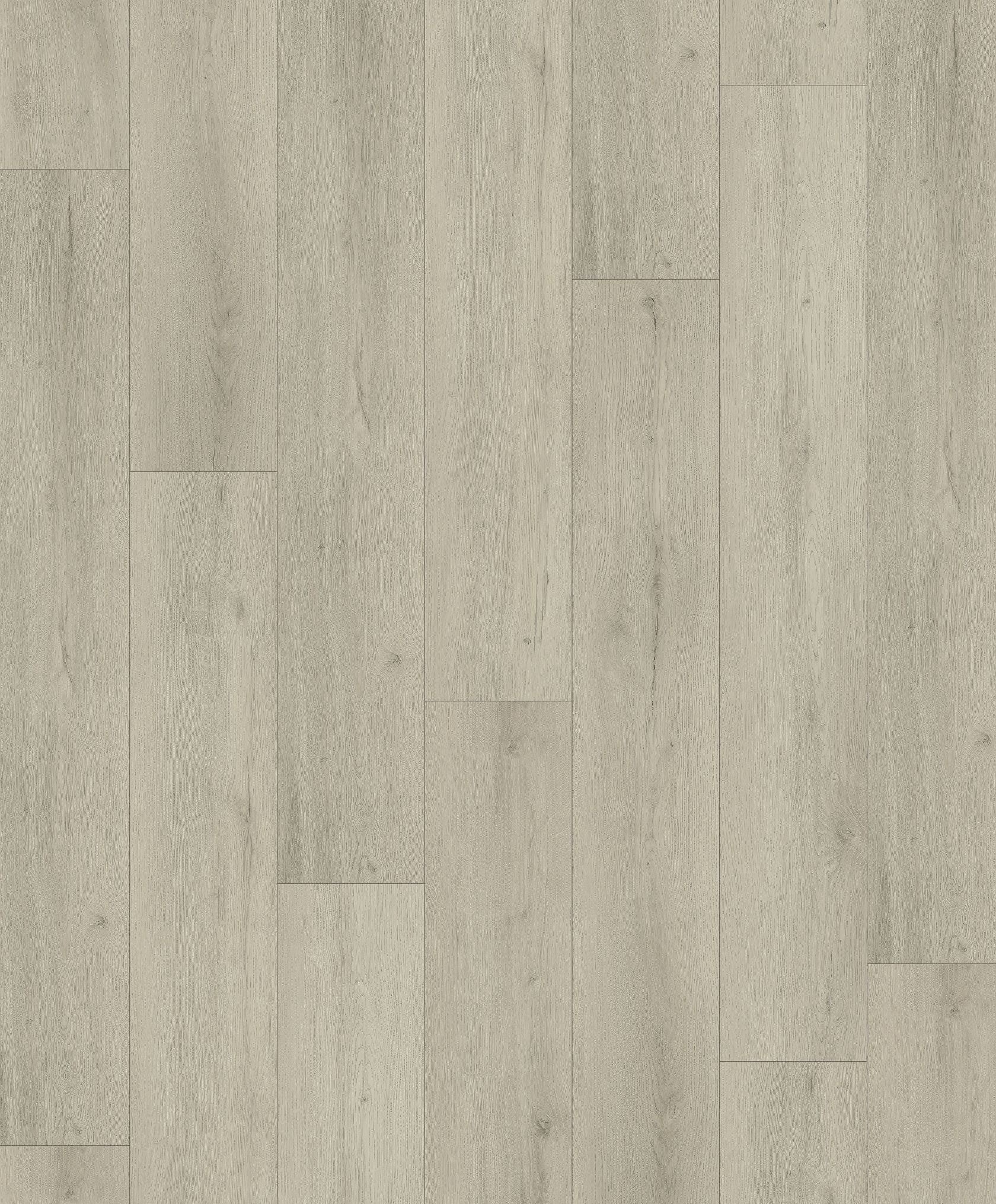 SAVANNAH | 3L1200 – B2B NZ