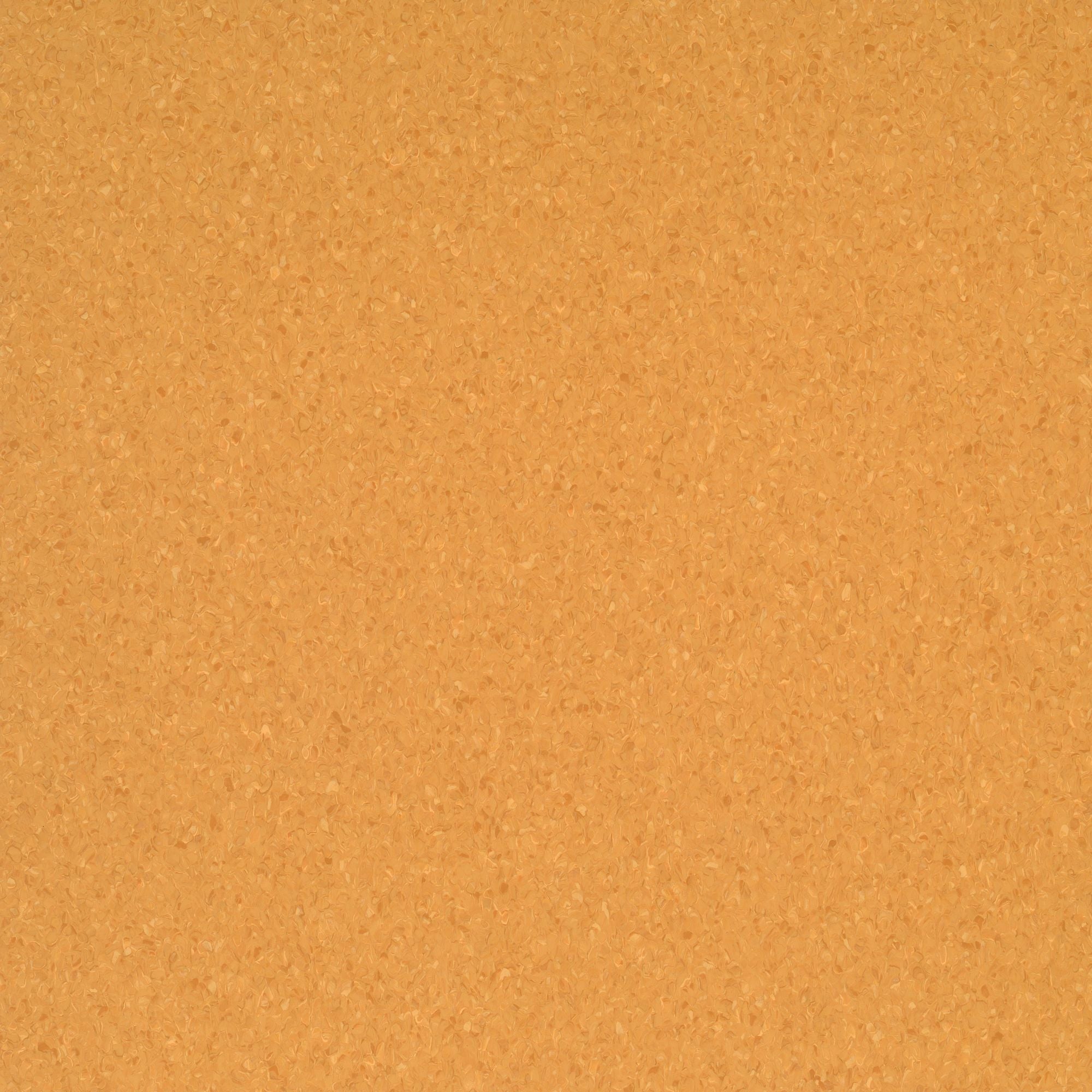 Accolade Plus | 5A5030 – B2B NZ